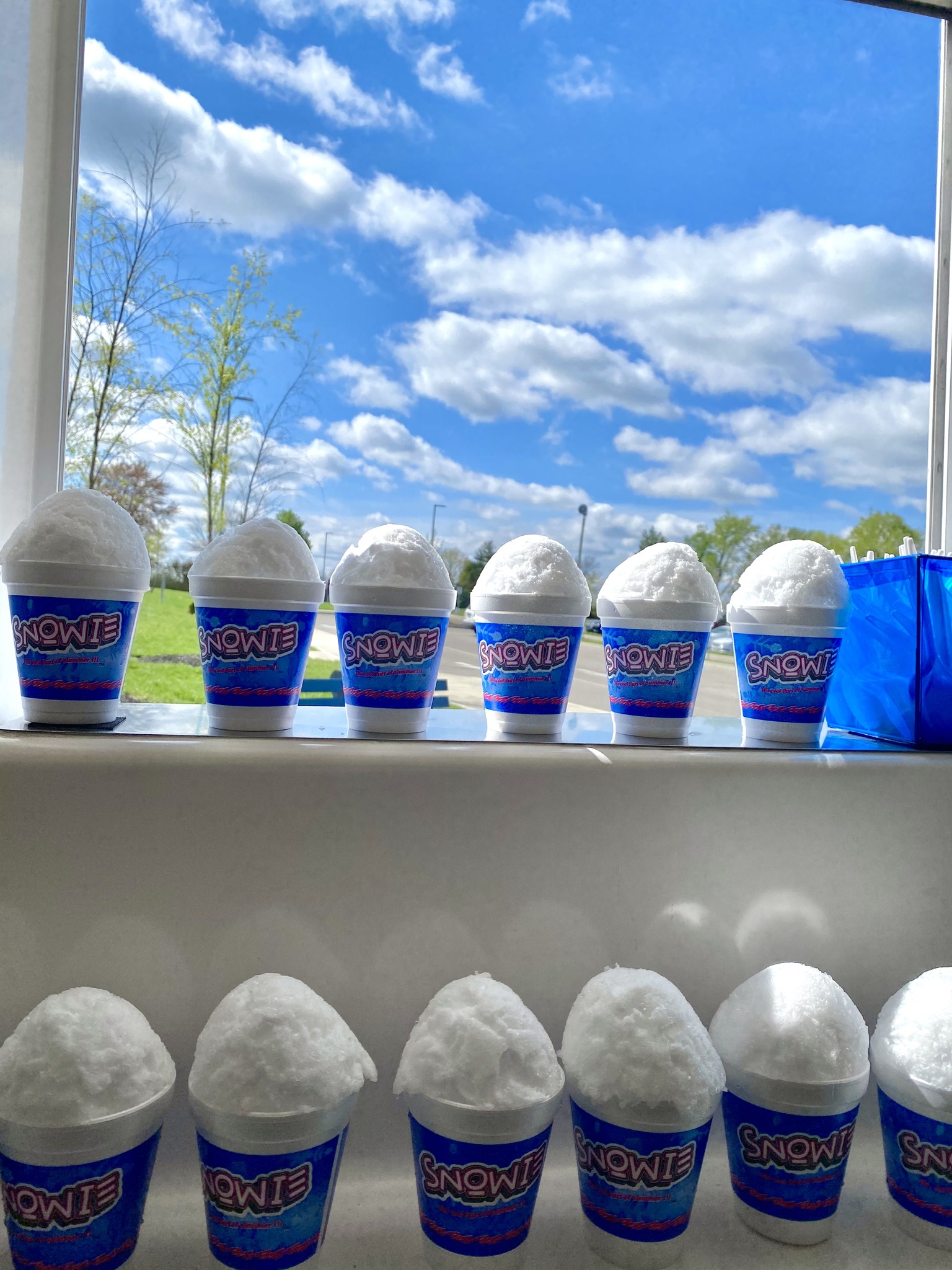 Snowie Business Opportunity Illinois | Snowie Shaved Ice